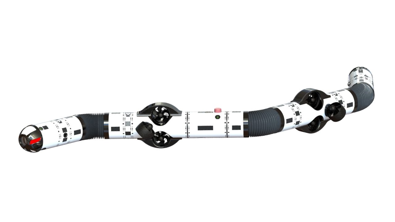 Conquering the sea with a snake robot - Ocean Autonomy Cluster